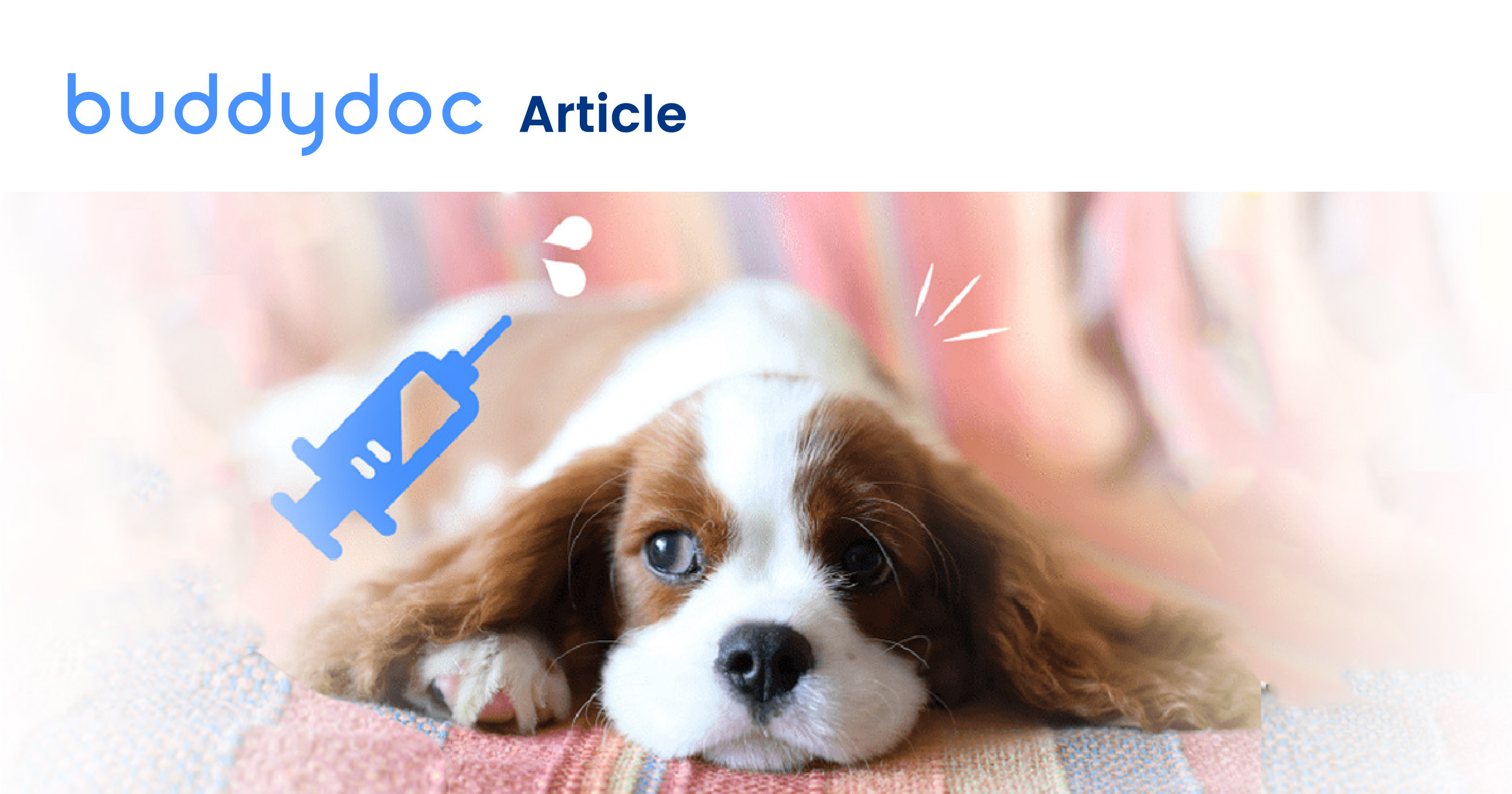 First-Year Puppy Vaccination Guide | Buddydoc